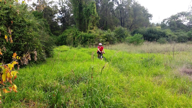 Quarry River Trail Hiking Trail - Penrith | Trailforks
