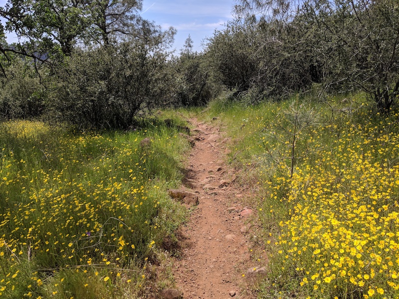 Bidwell Park Perimeter Trail Mountain Biking Route | Trailforks
