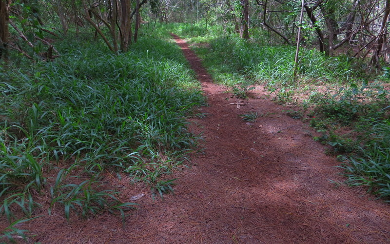 Escape Mountain Biking Trail - Pupukea, Hawaii