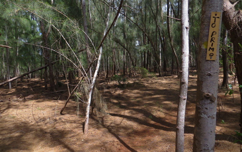 Pu`u Mountain Biking Trail - Pupukea, Hawaii