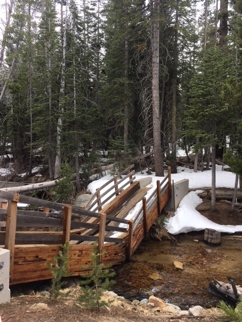 Armstrong Pass Trail Multi Trail - South Lake Tahoe