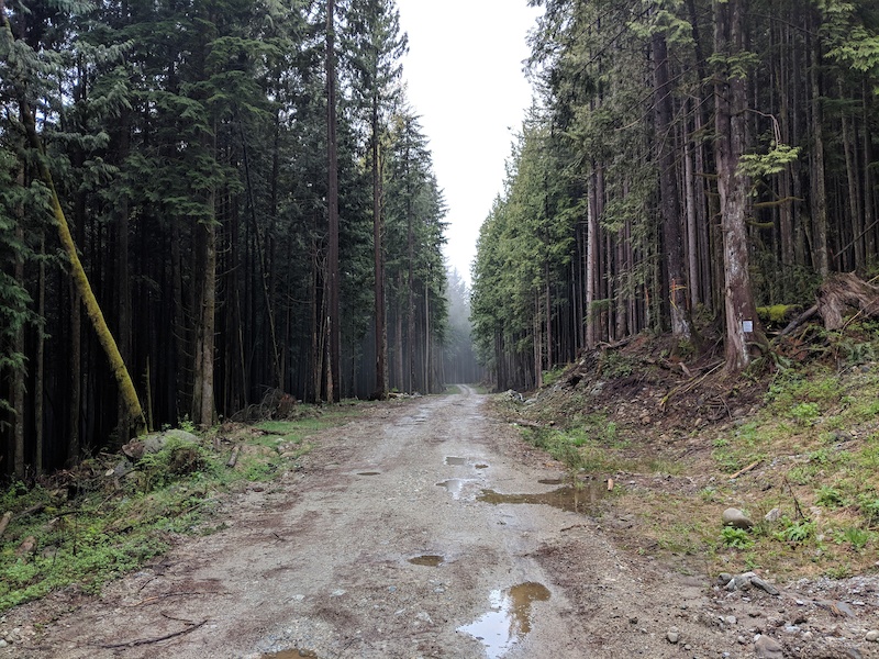 Access4 Mountain Biking Trail - Maple Ridge, BC