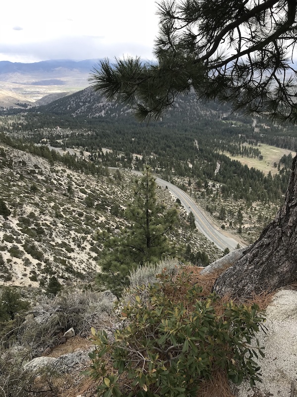 Ash Canyon to Kings Canyon Trail Mountain Biking Trail - Carson City