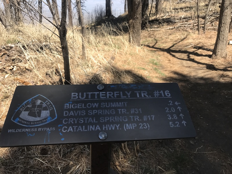 Butterfly Trail Multi Trail - Tucson, Arizona