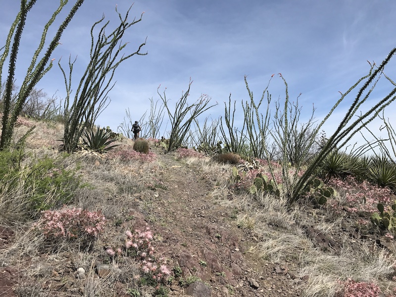 SDMB Featured Ride - Arizona Trail - Gabe Zimmerman TH to Pistol Hill ...