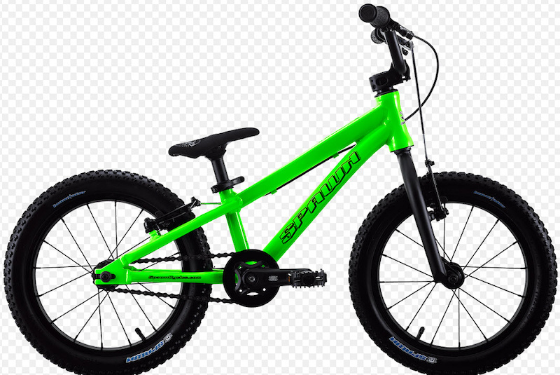 2017 Spawn Banshee 16" For Sale