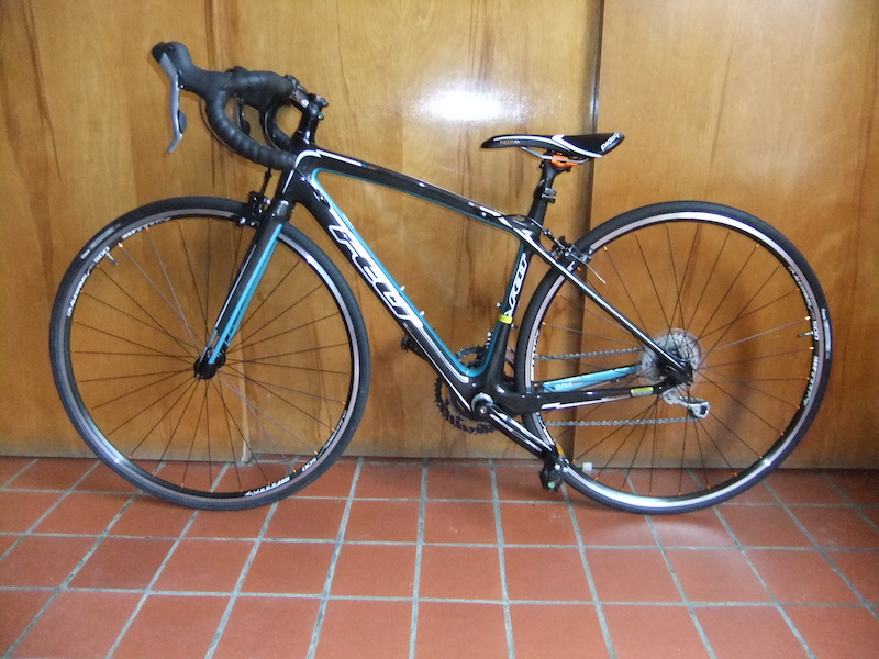 2013 ZW5 FELT - WOMENS PETITE For Sale