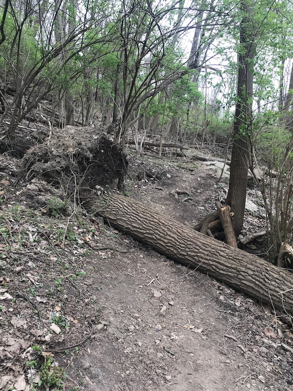 Lower Concrete Block Multi Trail - Pittsburgh, PA