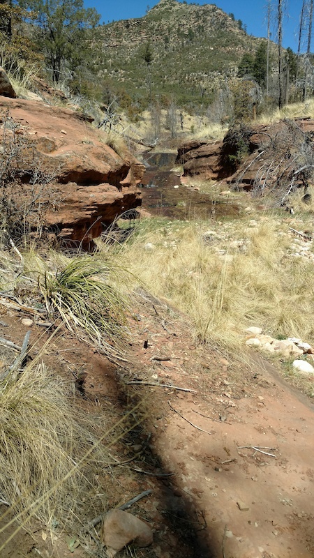 Highline Trail (Washington Park to FS144) Multi Trail - Payson, AZ