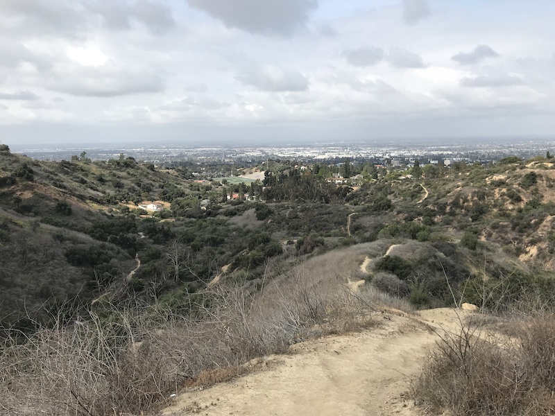 Cow Trail Mountain Biking Trail - Whittier, California