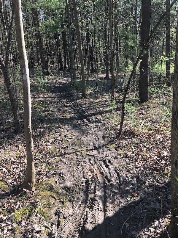 Hell N Back Multi Trail - Colonie, New York | Trailforks