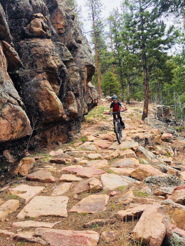 Staunton Ranch Trail North Mountain Biking Trail - Conifer