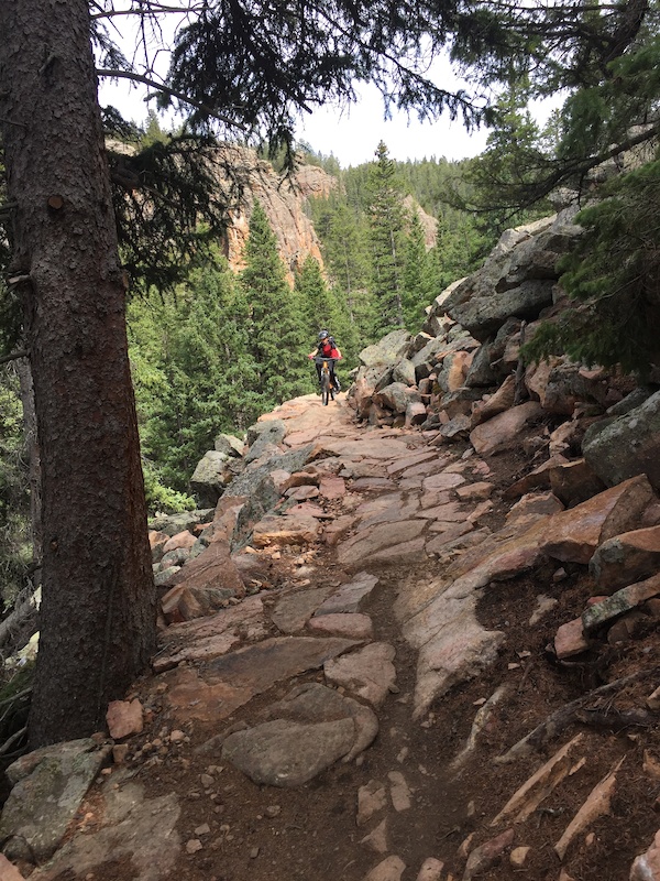 Lion's Head (via Lion's Back Trail) Mountain Biking Route | Trailforks