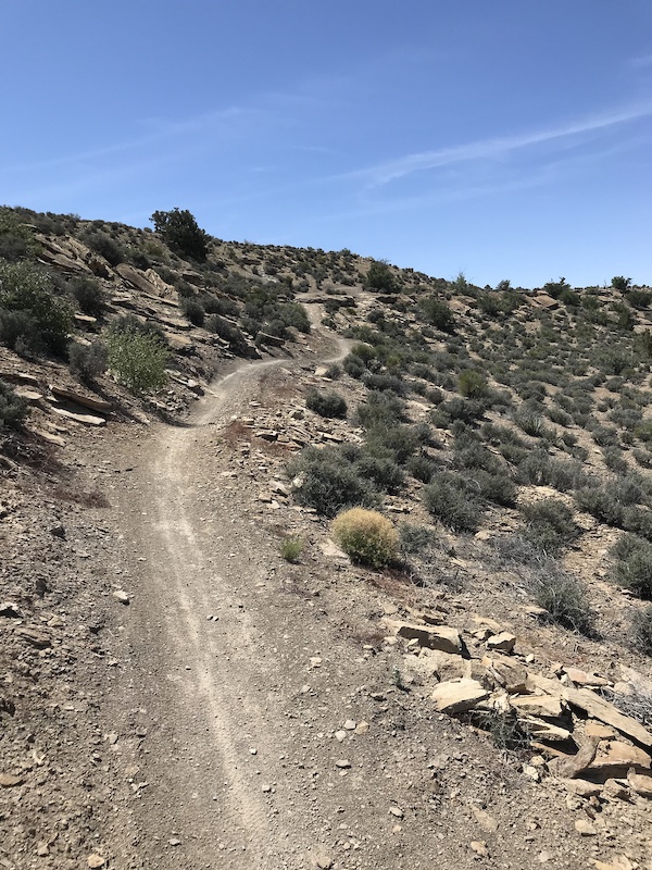 Rad Flow Route Mountain Biking Route | Trailforks