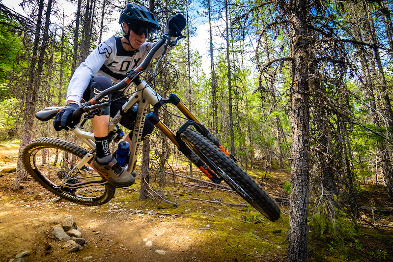 Fat Tug Mountain Biking Trail - Pemberton, BC