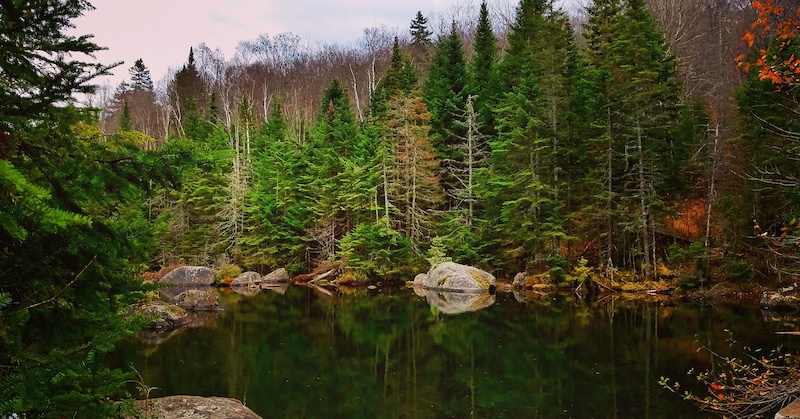 2 Vals (33) Skiing Trail - Val-David, Quebec