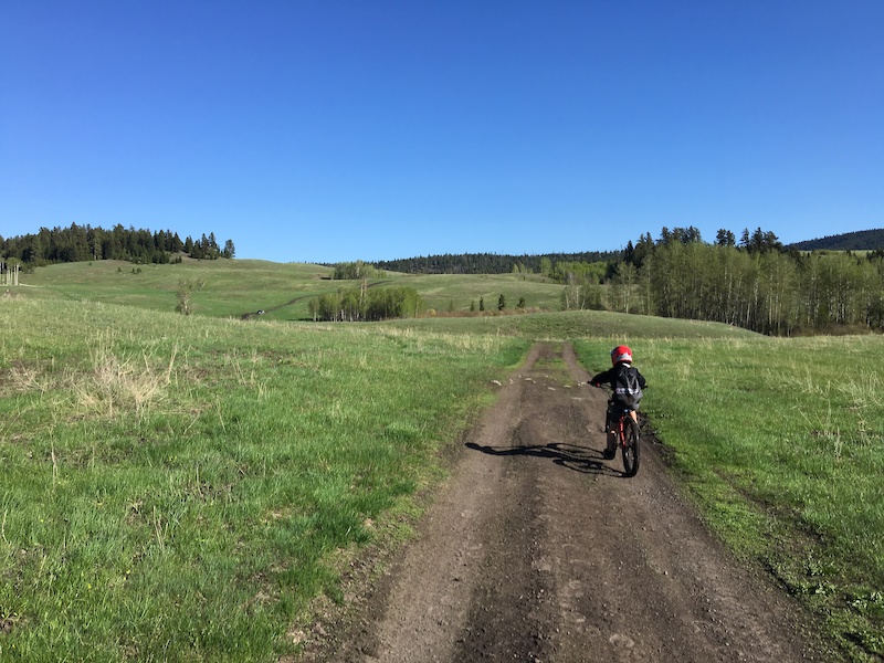 Natchaug State Forest, Eastford Mountain Biking Trails | Trailforks