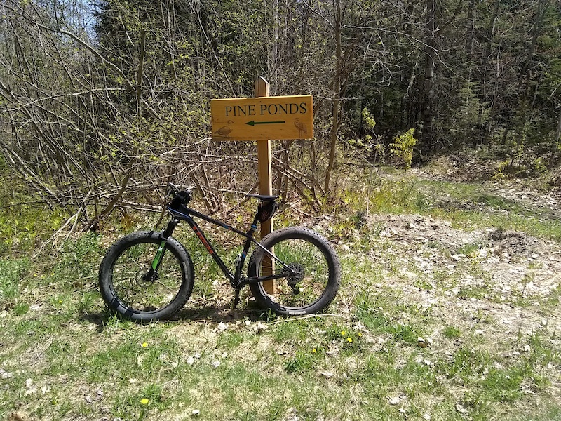 Newman Hill Trail Skiing Trail - Orono, Maine