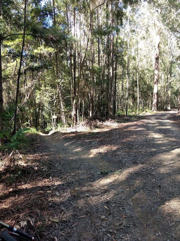Red Hill Rd Single Trail Mountain Biking Trail - Coffs Harbour
