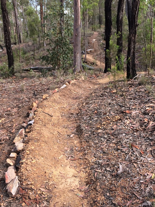 Giant Mountain Biking Trail - Wondai | Trailforks