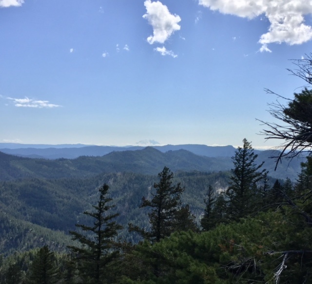 Tronsen Ridge Multi Trail - Ellensburg, Washington