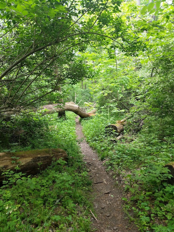 Prairie Lane Multi Trail - Brimfield, Illinois