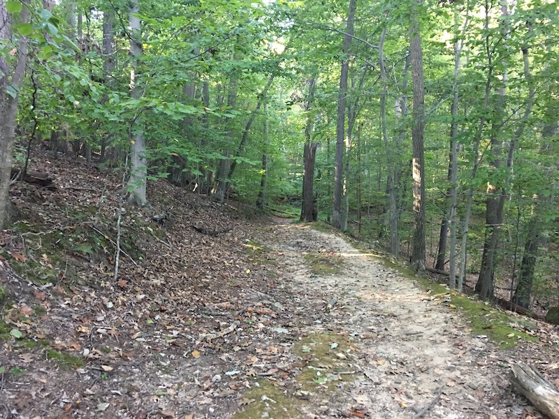 Pot Spring Multi Trail - Loch Raven, Towson, Maryland