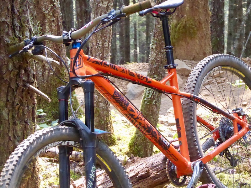 2017 Bird Zero AM Custom Hardtail *PRICE DROP* For Sale