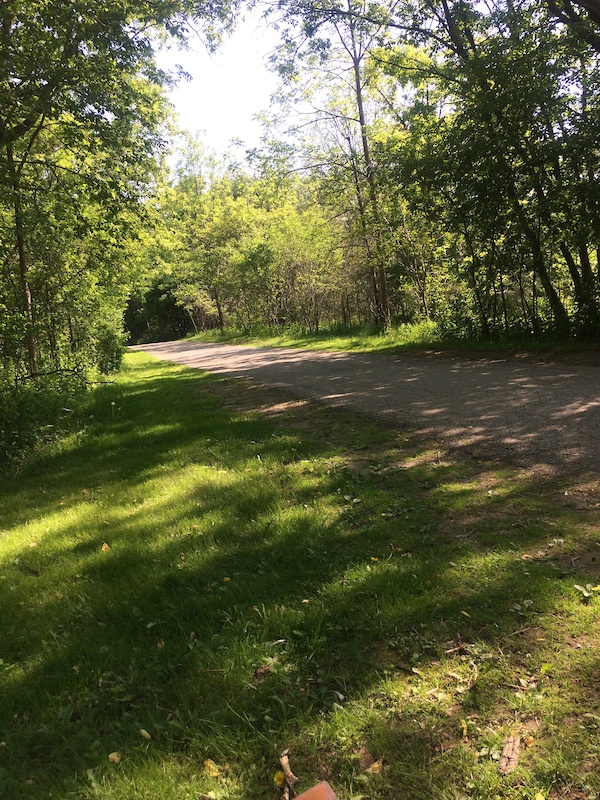 Betty Sutherland Trail Multi Trail - North York, ON