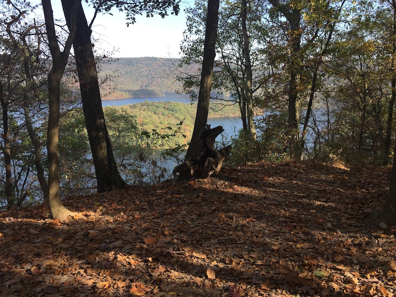 Grippis Multi Trail - Hesston, Pennsylvania | Trailforks