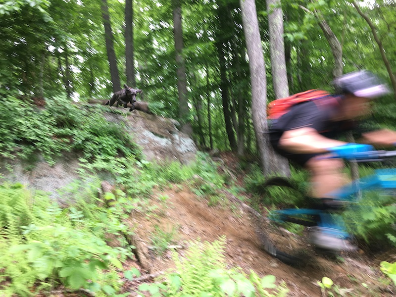 Day Pond State Park Mountain Biking Trails | Trailforks