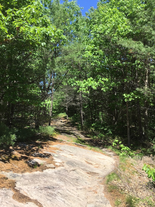 Mohawk Trail Mountain Biking Trail - Gravenhurst, Ontario