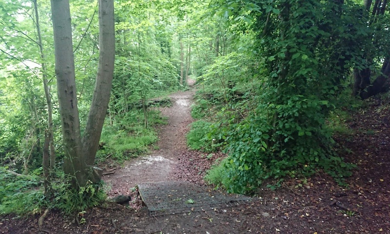 Capstone Farm Country Park, Gillingham Kent Mountain Biking Trails ...