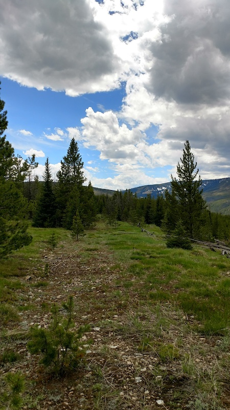 CDT (Chief Joseph) Multi Trail - Wisdom, Montana