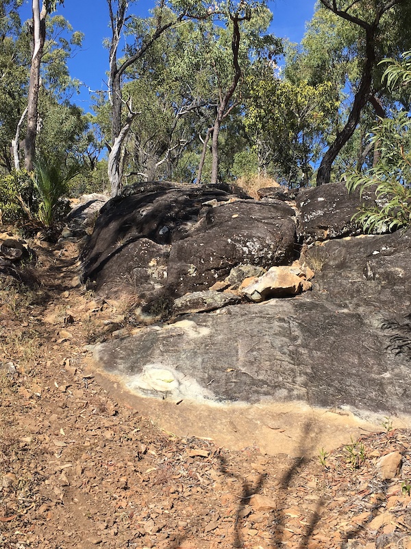 Leper's Leap Mountain Biking Trail - Rockhampton
