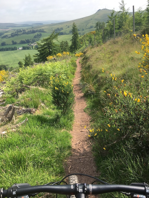 Car Park To Full Nelson Mountain Biking Route | Trailforks