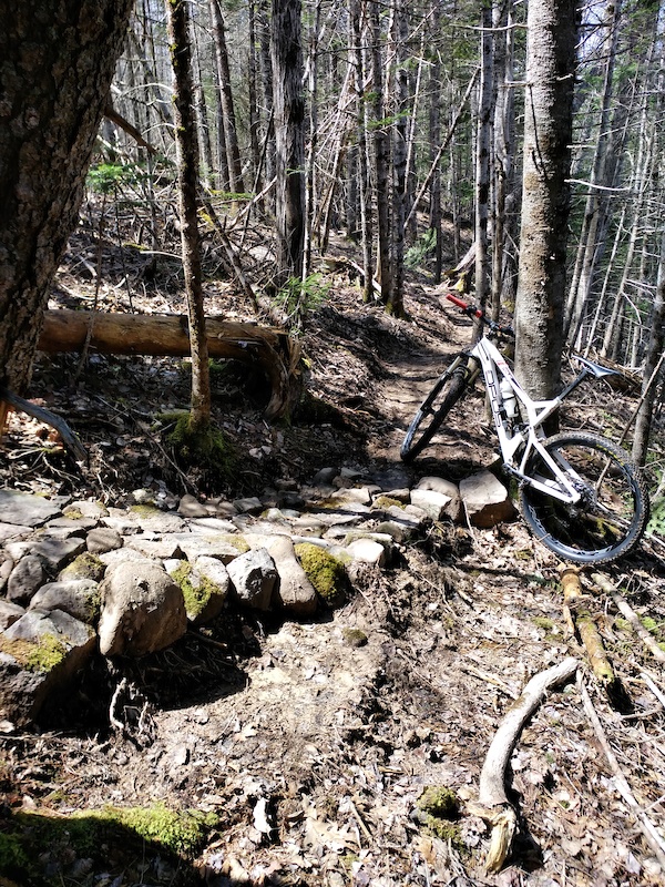 Orchard Trail Mountain Biking Trail - Falmouth, NS