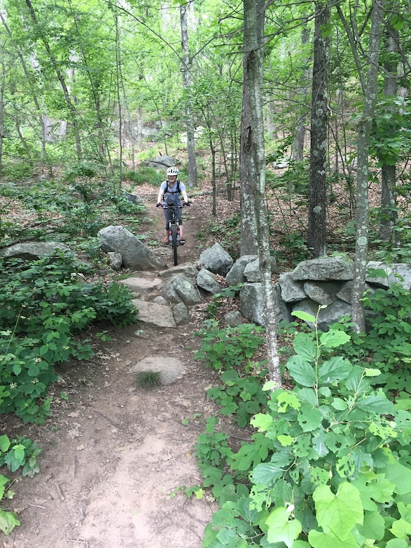 Goat Hill Trail Network Mountain Biking Trails | Trailforks