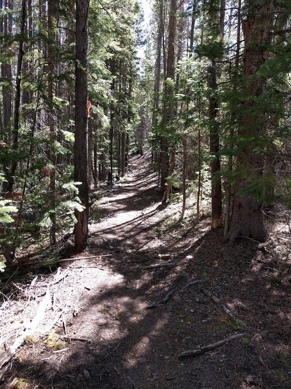 Trappers Mountain Biking Trail - Red Feather Lakes