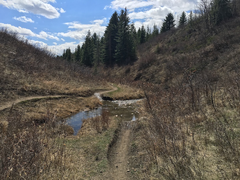 Tuscany Bluff Multi Trail - Calgary, Alberta