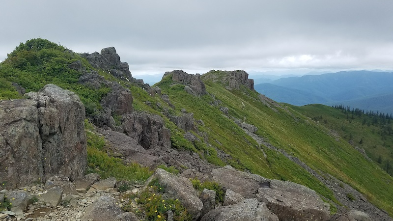 Tarbell Trail Multi Trail - Battle Ground, Washington