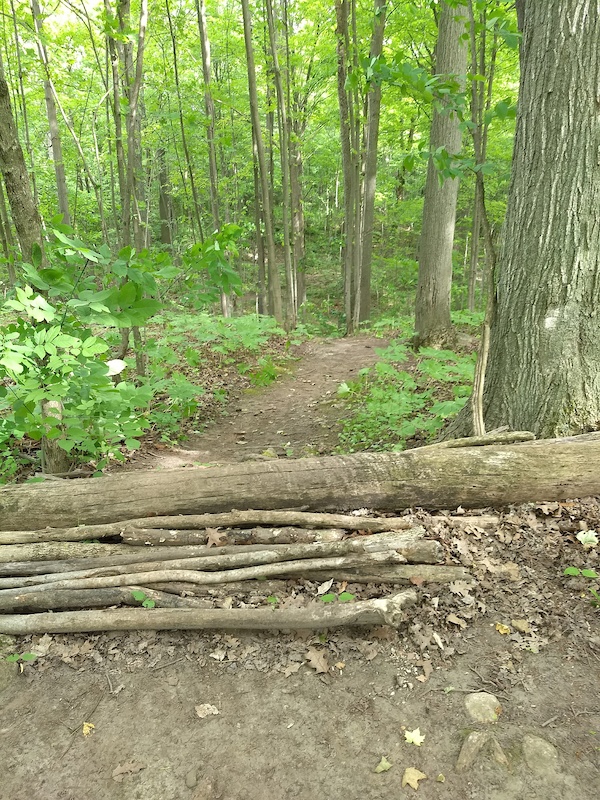 V-Fib Mountain Biking Trail - Puslinch Township, Ontario