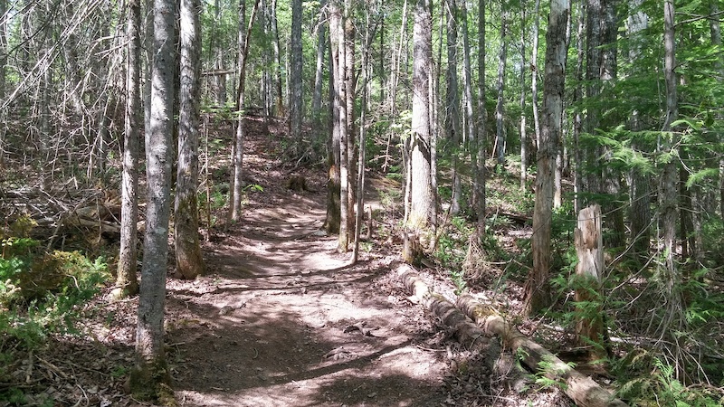 The Roots Mountain Biking Trail - Bathurst, New Brunswick