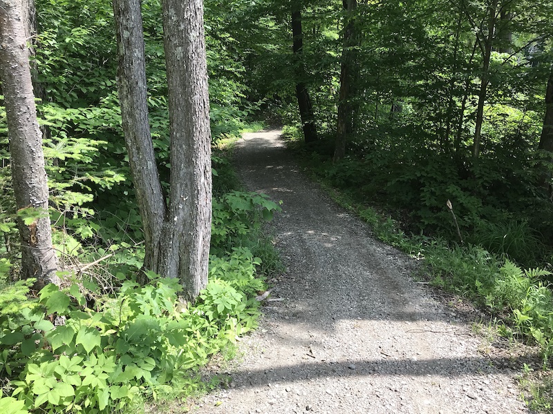 Burma loop Mountain Biking Route | Trailforks