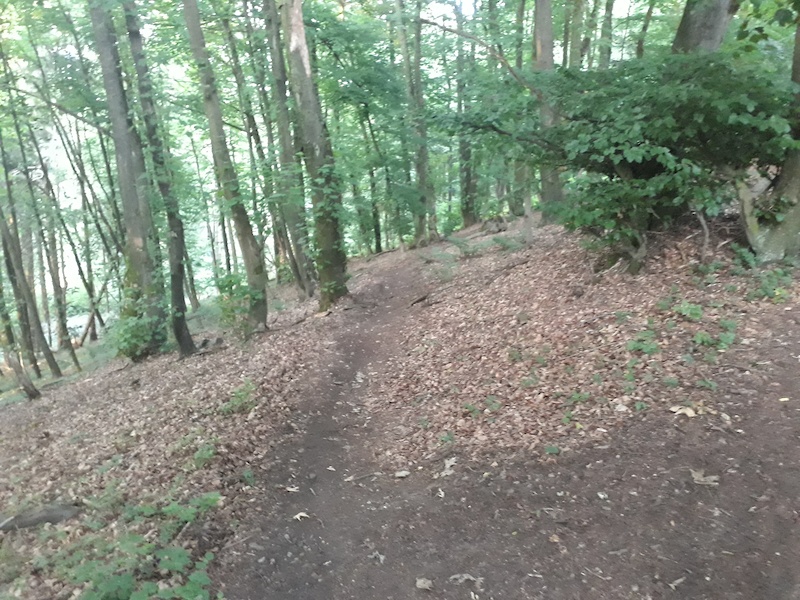 Landkreis Minden-Lübbecke Mountain Biking Trails | Trailforks