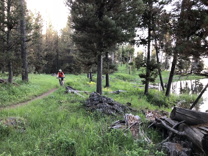 Silver Lake Loop Mountain Biking Route | Trailforks