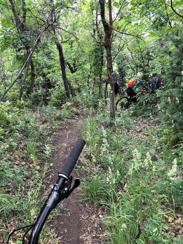 Maple Lake Loop Mountain Biking Trail - Payson, Utah