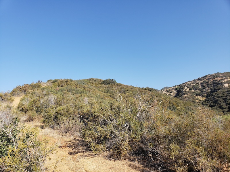 Devore, California Mountain Biking Trails | Trailforks