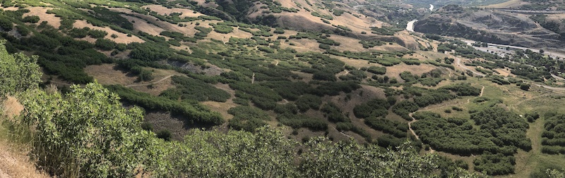 Provo Canyon Dragon Mountain Biking Route | Trailforks