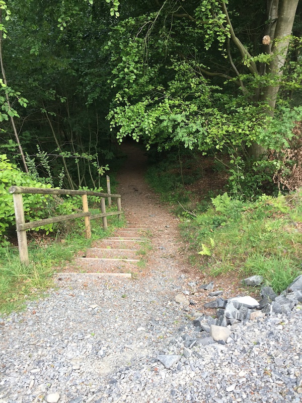Path Hiking Trail - Mabie Forest, Dumfries | Trailforks